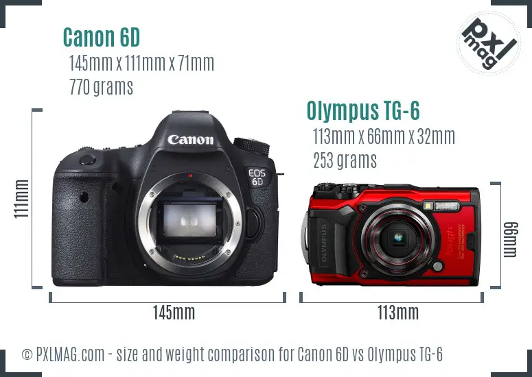 Canon 6D vs Olympus TG-6 In Depth Comparison - PXLMAG.com