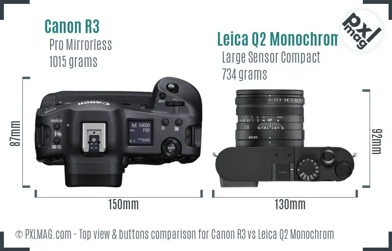 Canon R3 vs Leica Q2 Monochrom Detailed Comparison - PXLMAG.com