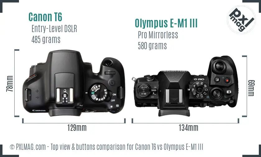 Canon T6 vs Olympus E-M1 III In Depth Comparison - PXLMAG.com