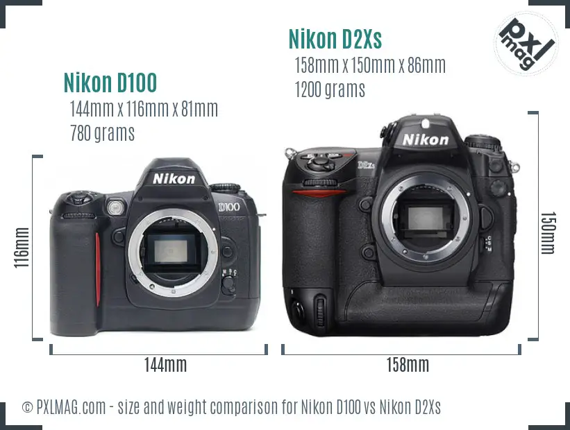 Nikon D100 vs Nikon D2Xs Full Comparison - PXLMAG.com